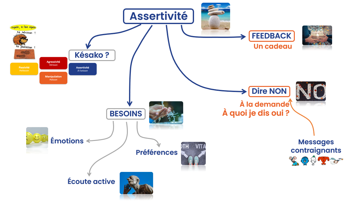 Assertivité | Nadine Dubost - Dev & Co-libri.